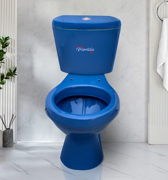 Fábrica de Inodoros: venta y suministro inodoro con botón doble pulsión